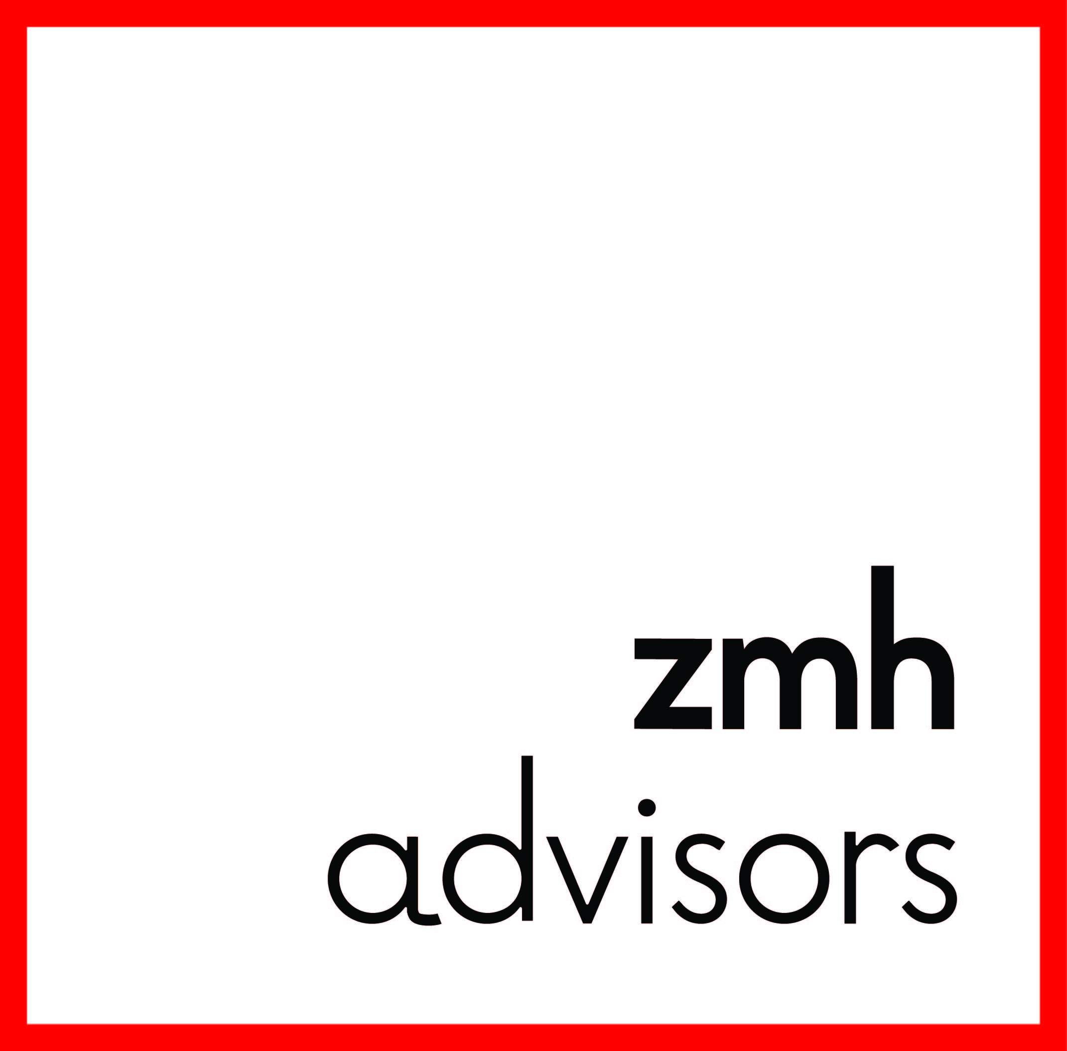 ZMH Analytics